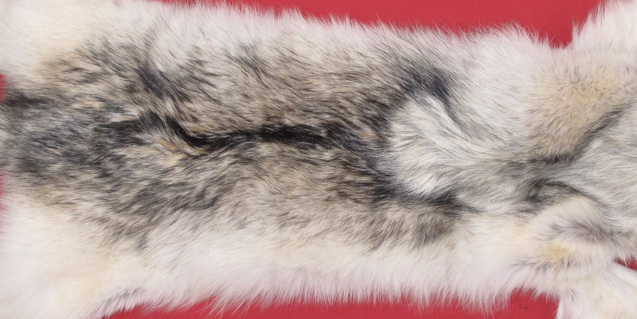 BUY TANNED WOLF HIDE - TAXIDERMY QUALITY - FELLA FURS