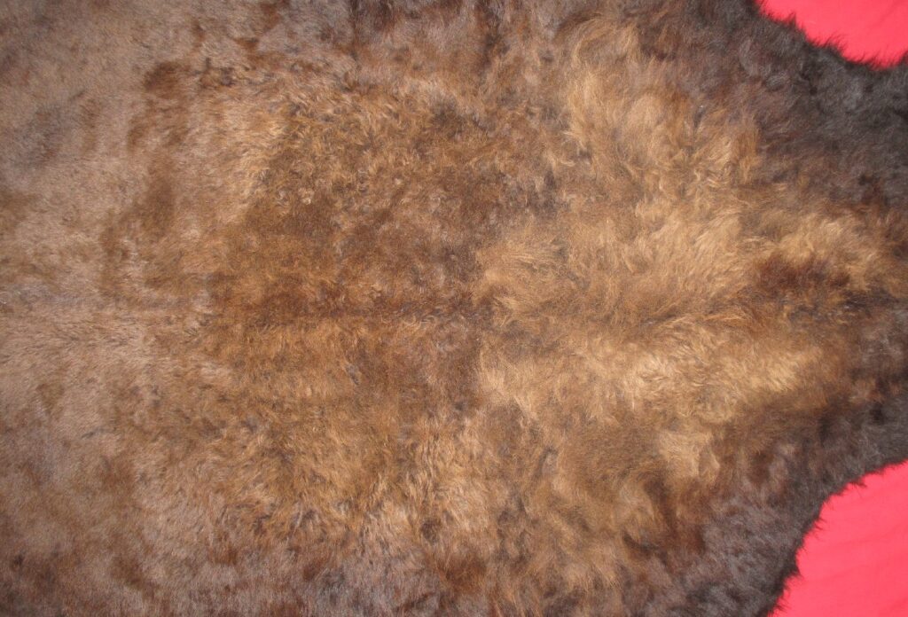 BUY BUFFALO TANNED HIDE - FELLA FURS